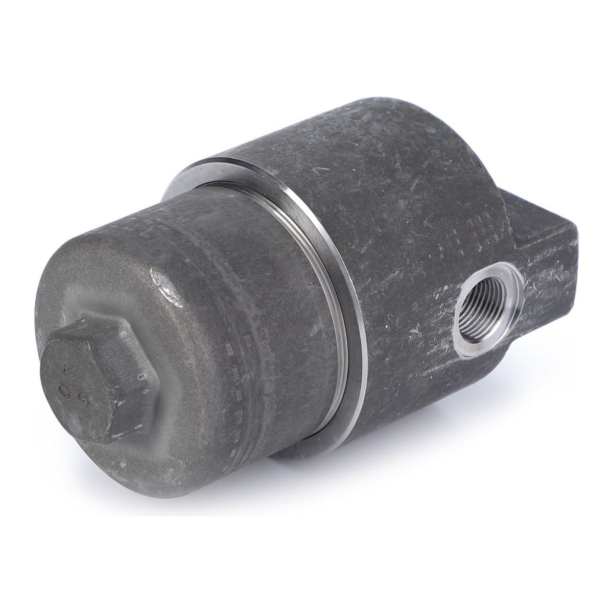 AGCO | Hydraulic Filter Assembly | F178950010010 | Official AGCO Parts ...