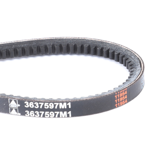 Massey Ferguson Fan Belt - 3637597M1 | OEM | Massey Ferguson parts ...